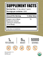 BulkSupplements Lion's Mane extract benefits