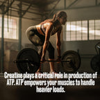 BULLFIT creatine for muscle recovery