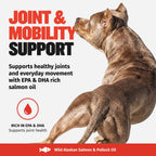 Bully Max fish oil for pets