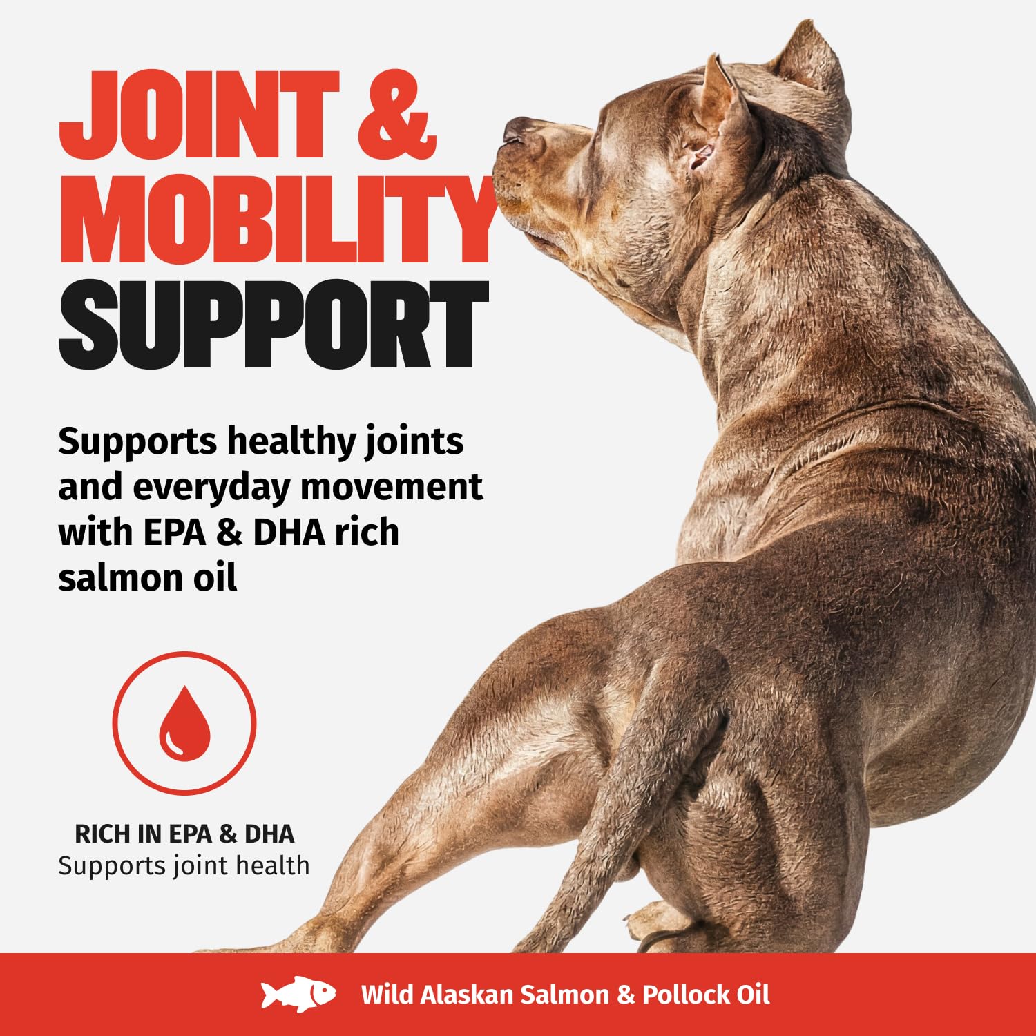Bully Max fish oil for pets