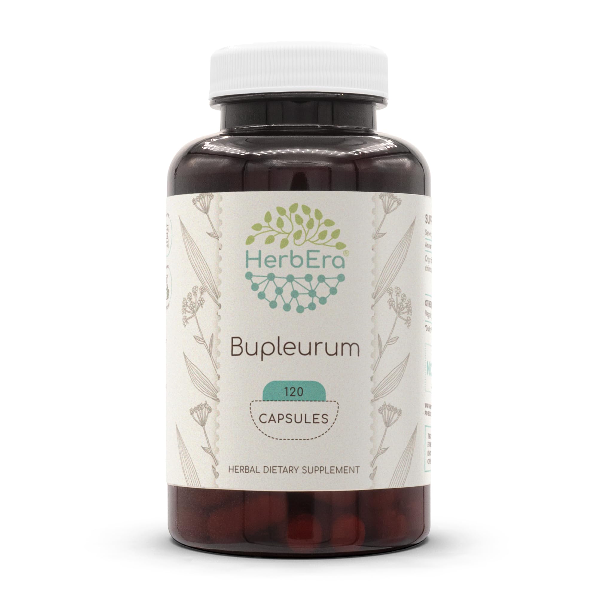 Bupleurum echinacea health benefits