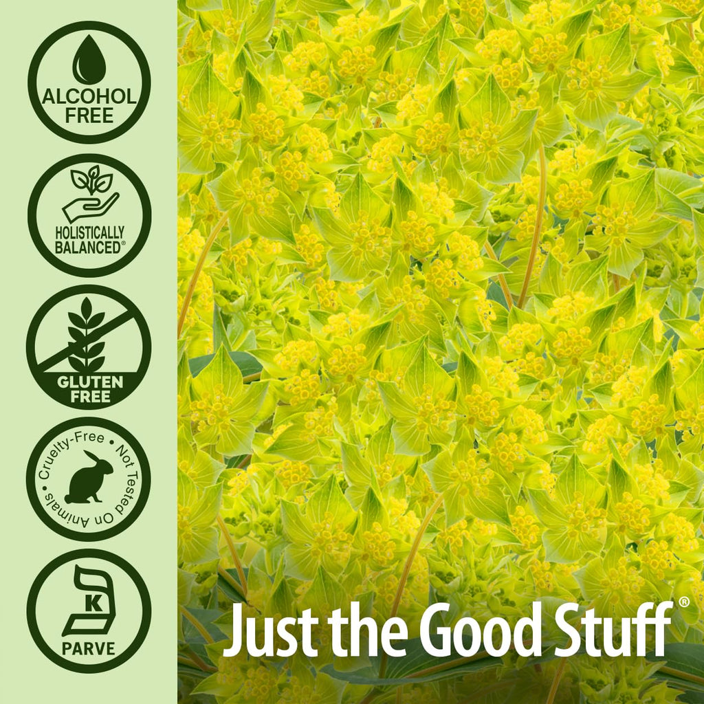 Bupleurum Root for wellness boost