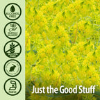 Bupleurum Root for wellness boost