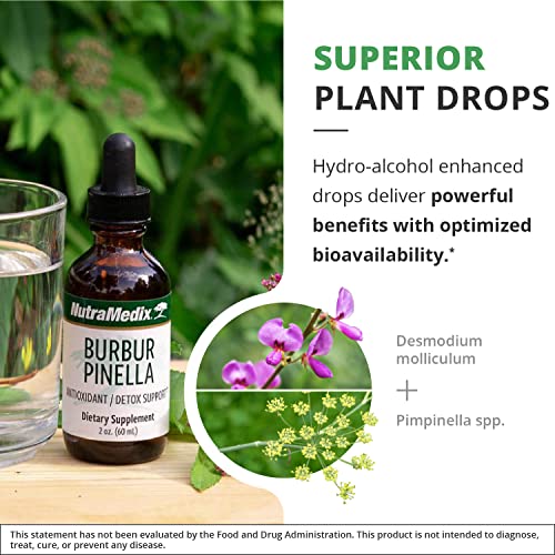 Burbur-Pinella for mental clarity