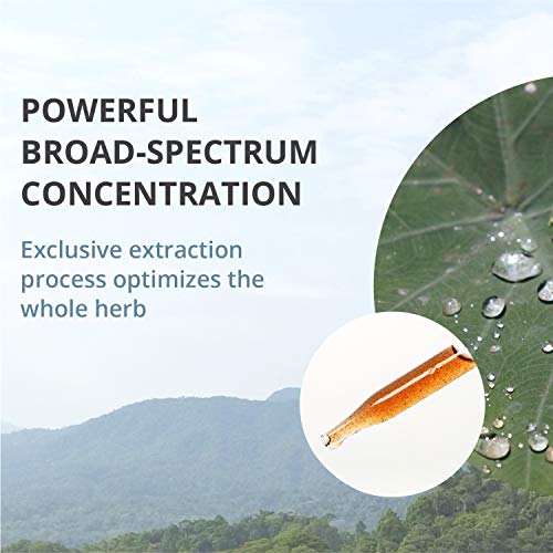Burbur-Pinella herbal detox formula