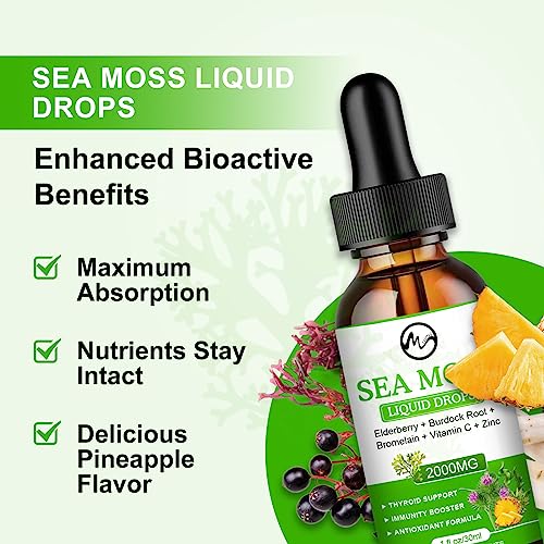Burdock root and Sea Moss synergy