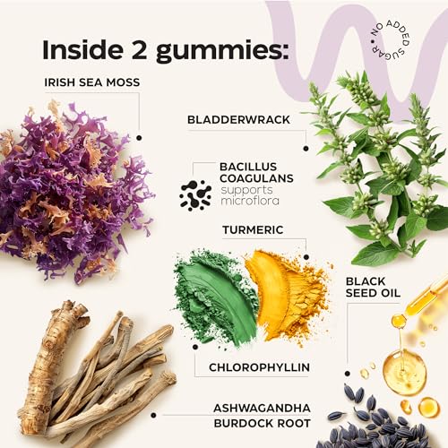 Burdock root benefits for wellness
