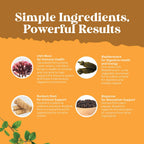 burdock root benefits in sea moss capsules