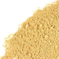 Burdock Root blended vitamin supplement