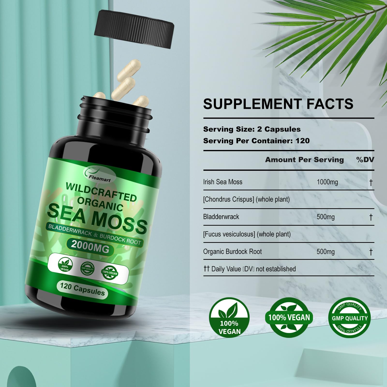 burdock root capsules for detoxification