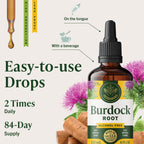 Burdock Root drops for skin health