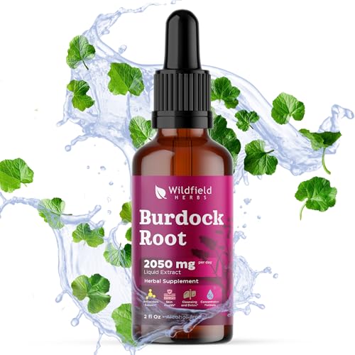 Burdock root extract for energy boost