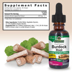 burdock root for detox support