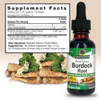 burdock root for detox support