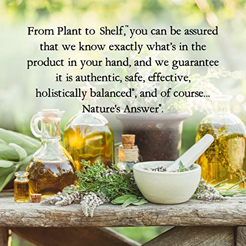 burdock root for holistic health