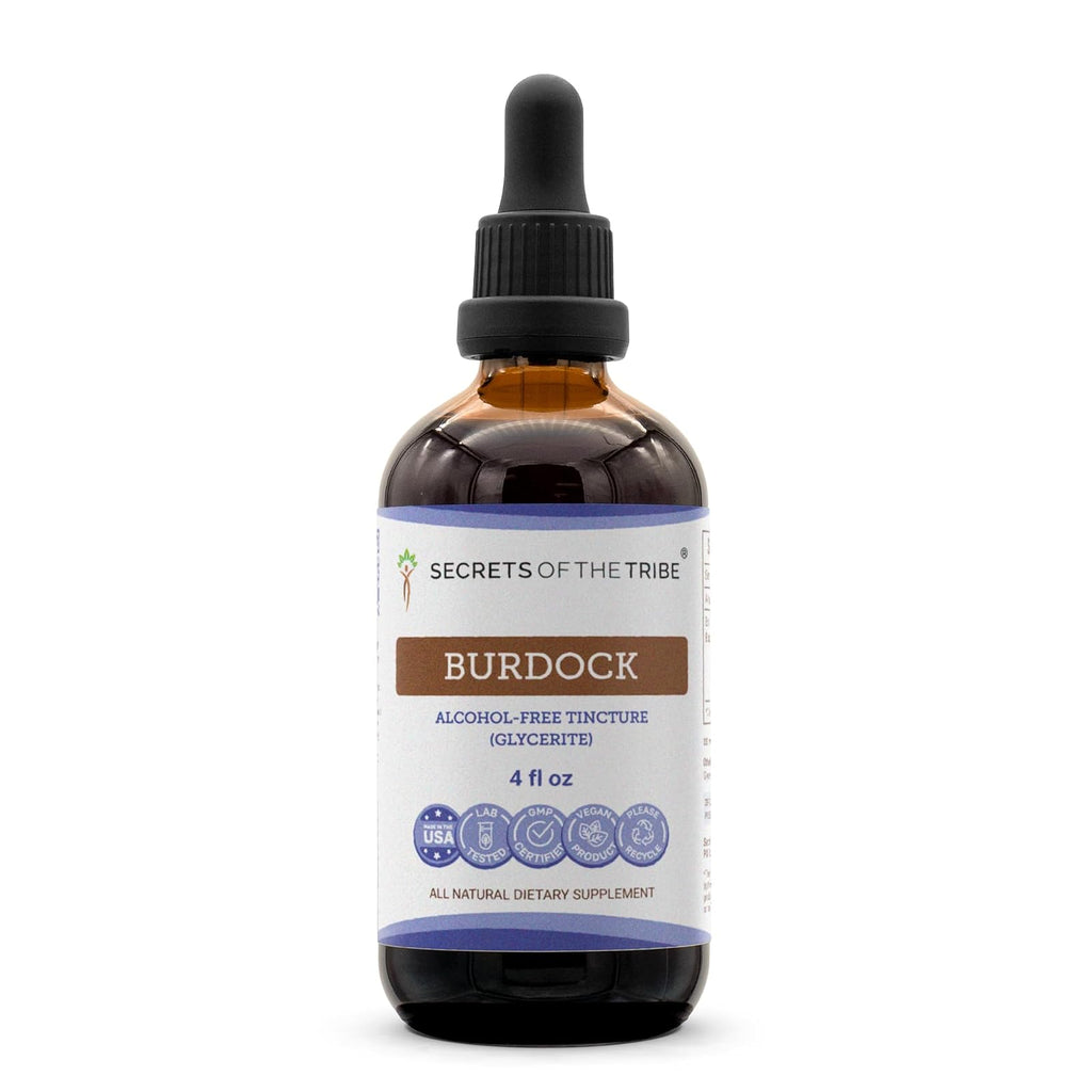burdock root herbal extract benefits