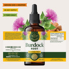 Burdock Root herbal remedy for detox