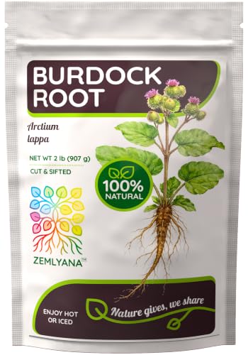 Burdock root herbal tea benefits
