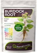 Burdock root herbal tea benefits
