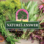 burdock root supplement for vitality