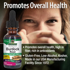 burdock root tincture for wellness