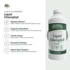 Buried Treasure chlorophyll for energy