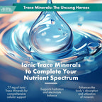 Buried Treasure Zinc Complex for daily wellness