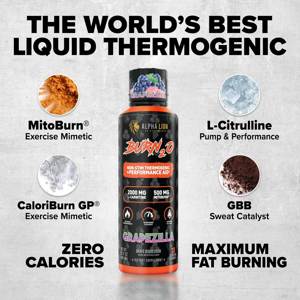 Burn2O L-Carnitine for fat loss