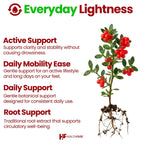 Butchers Broom capsules for daily vitality