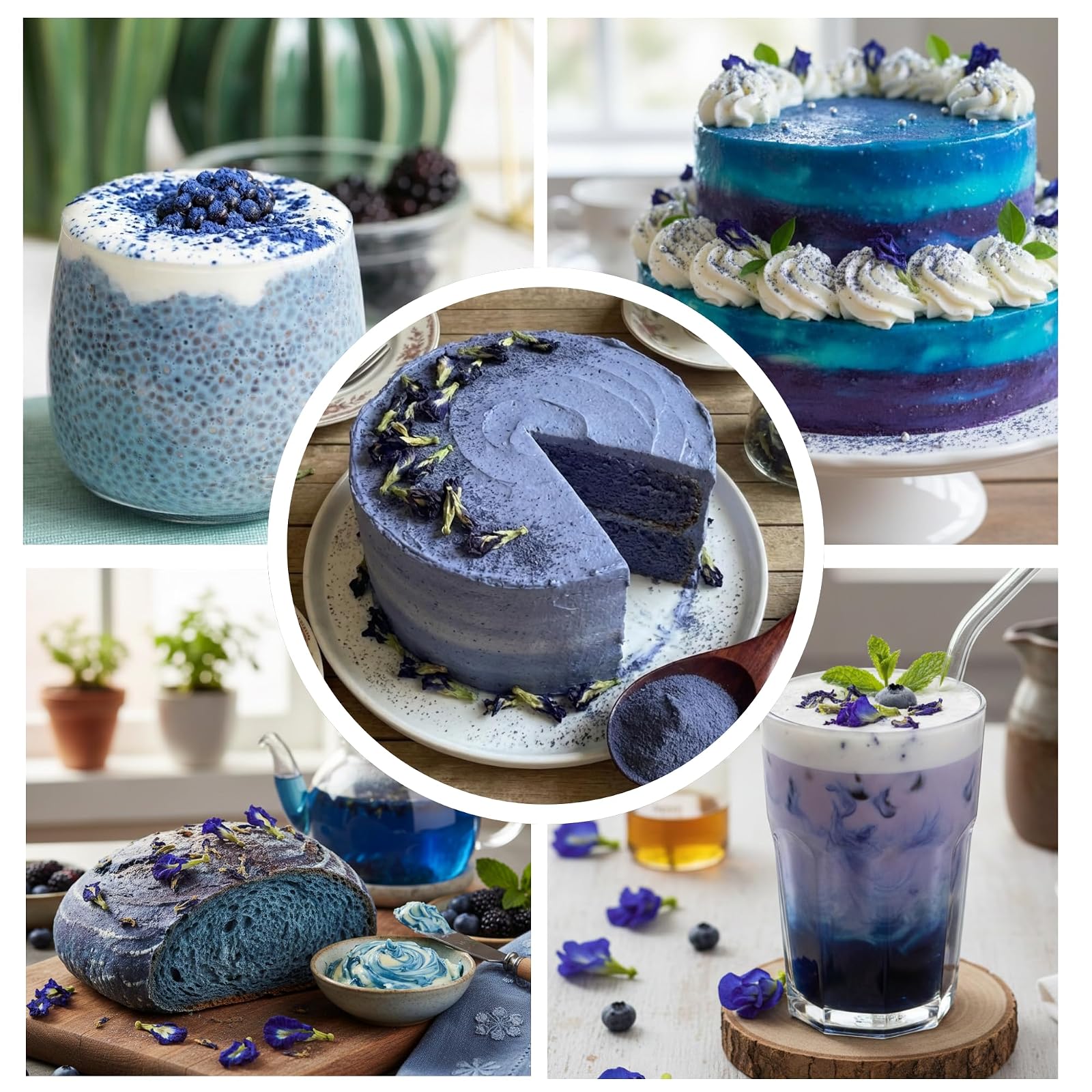 butterfly pea flower for lattes