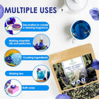 butterfly pea flower health benefits