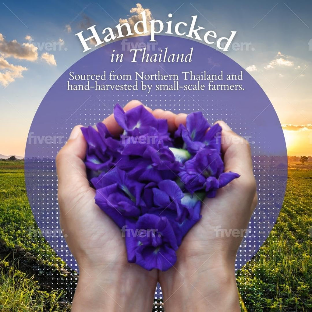 butterfly pea flower tea benefits