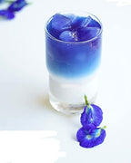 butterfly pea flower tea recipes