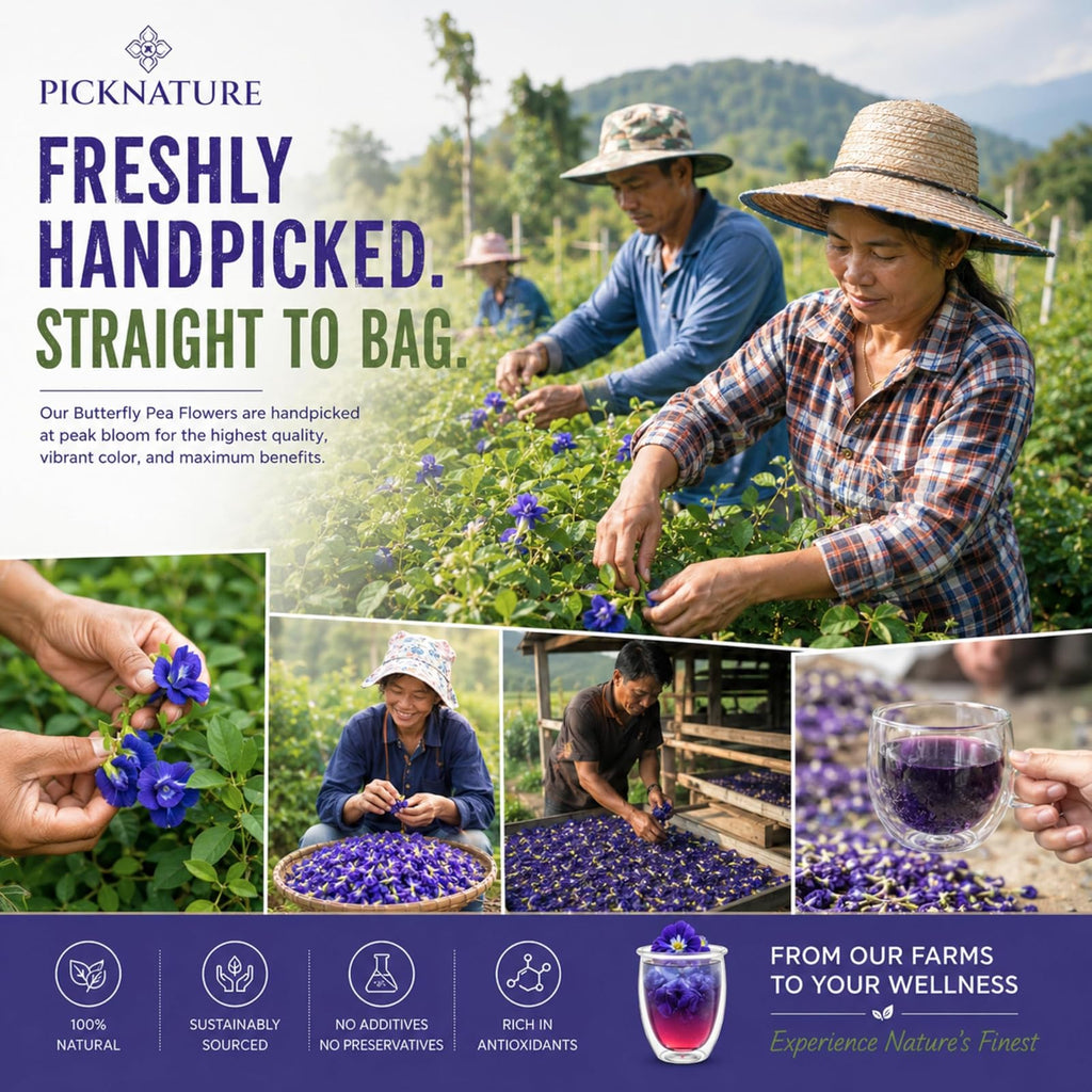 butterfly pea tea benefits