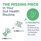 Butyric acid softgels for gut health