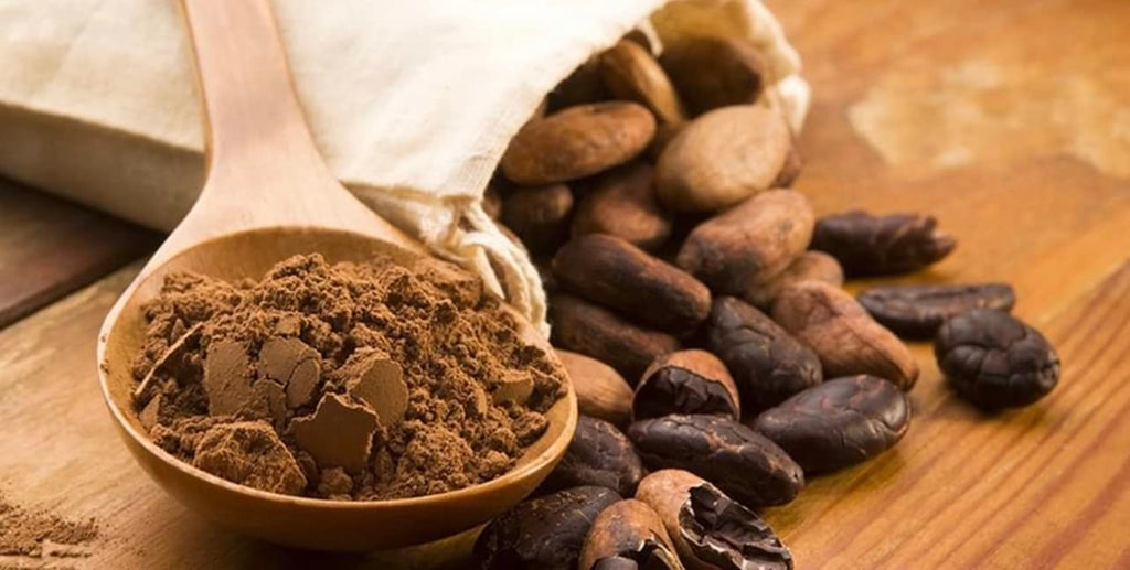 cacao infused turmeric for wellness