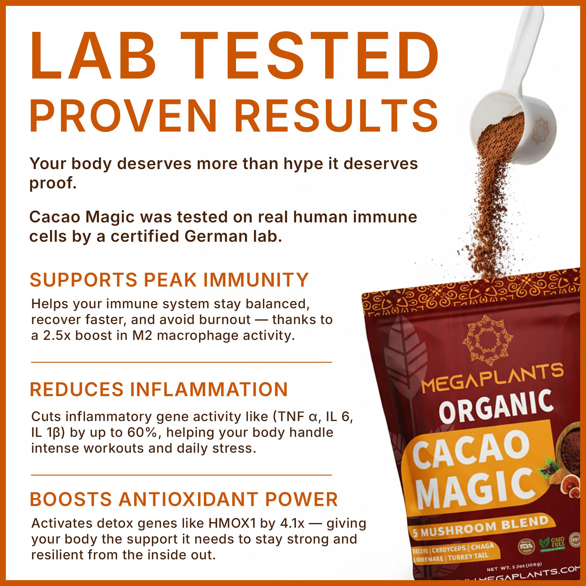 cacao magic for wellness and vitality