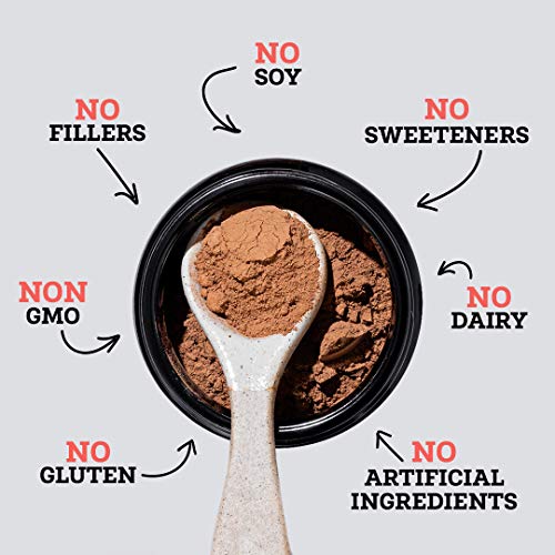 Cacao powder with reishi extract