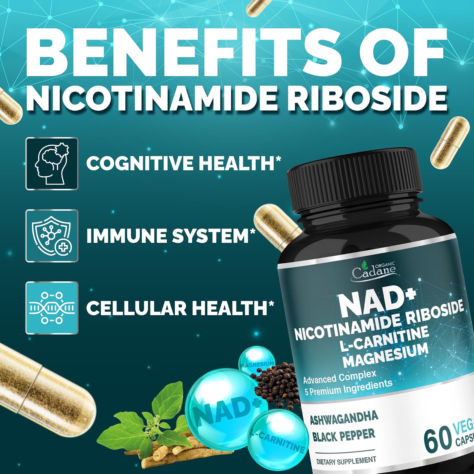 Cadane amino acids for performance