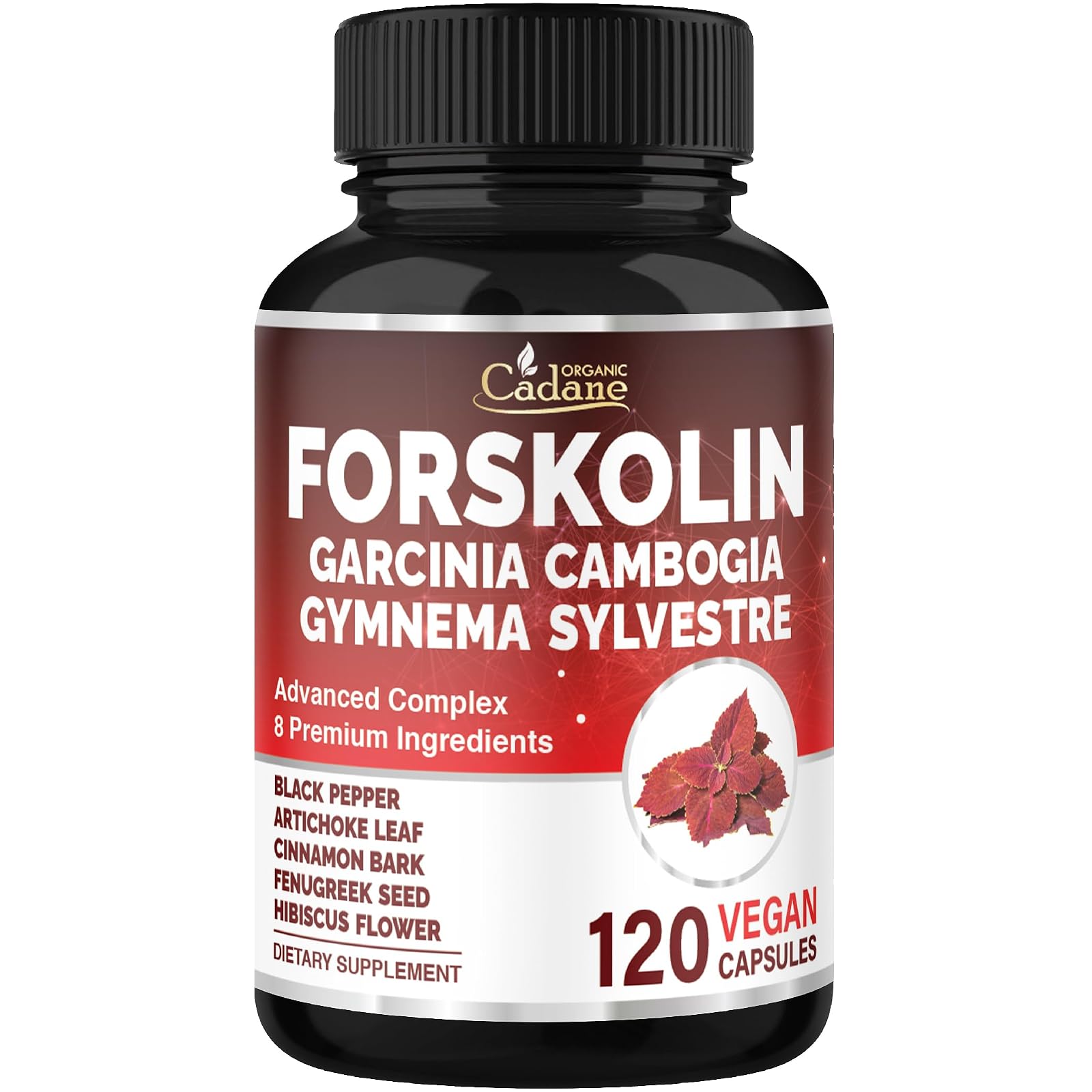 Cadane Forskolin 500 mg capsules