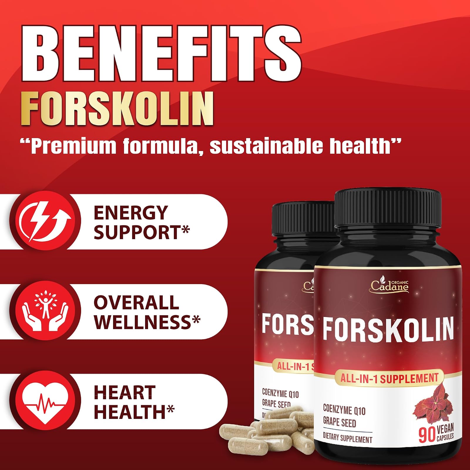 Cadane Forskolin for workout support