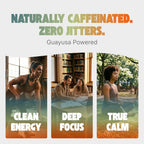 caffeine boost with guayusa tea
