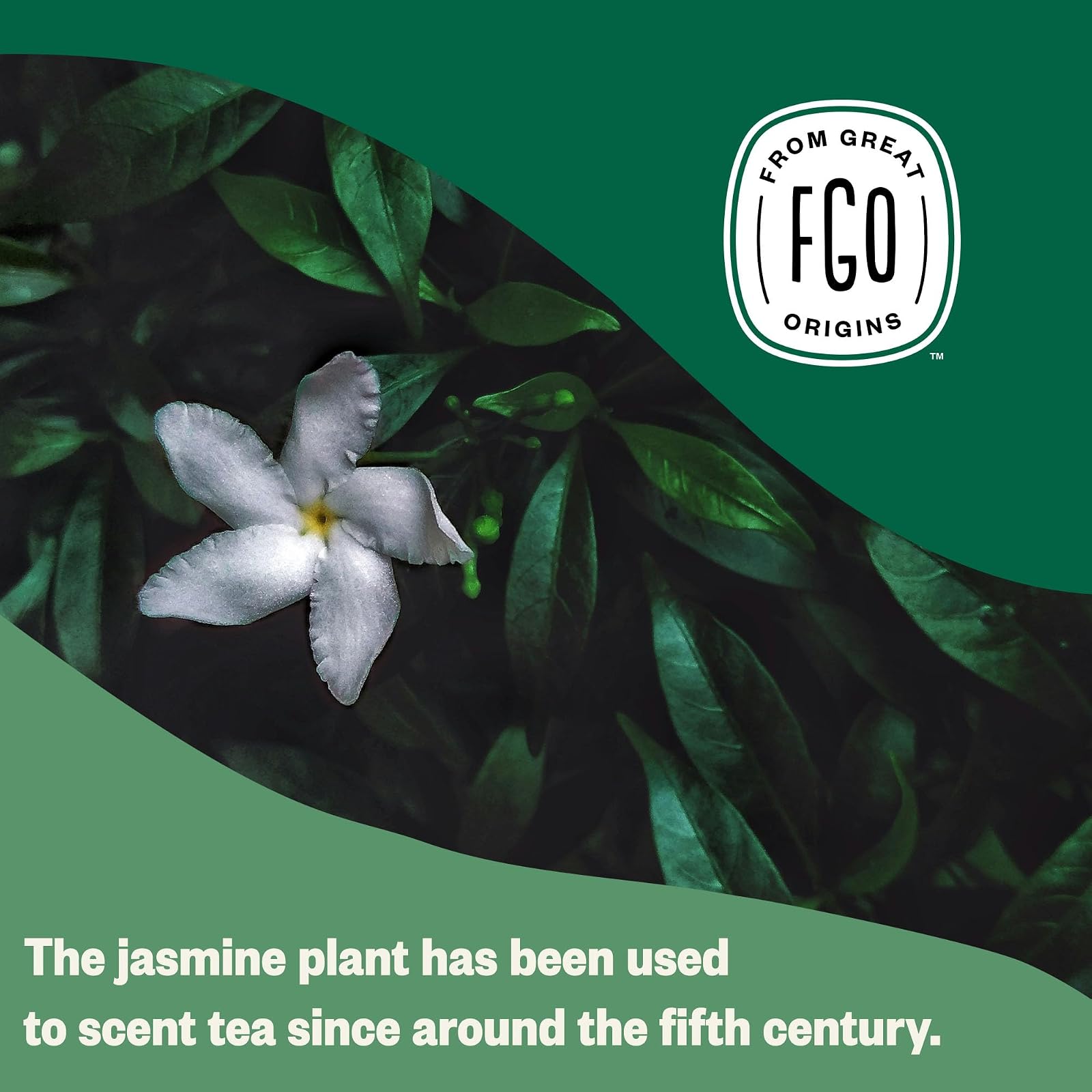 caffeine boost with jasmine green tea