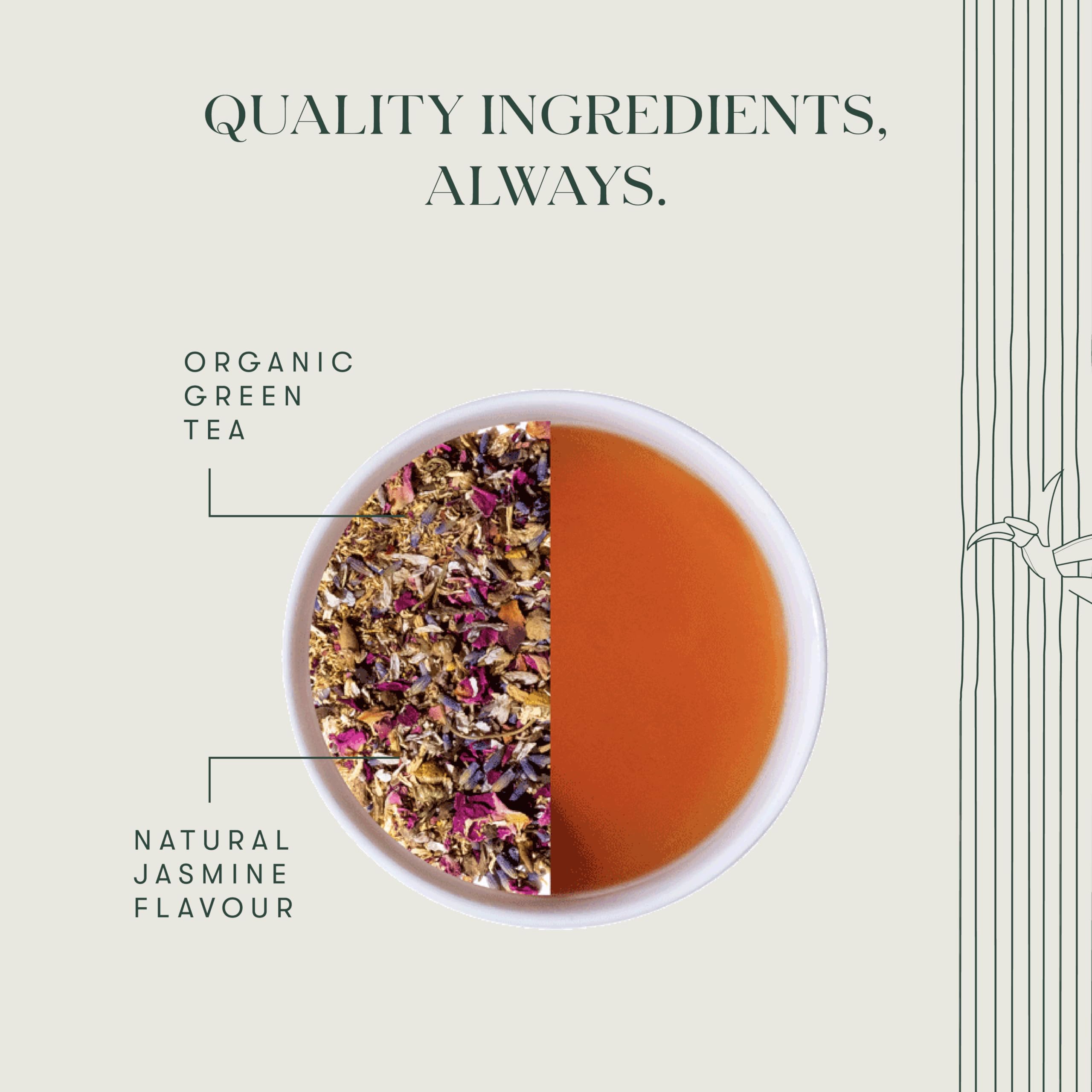 caffeine content in green tea