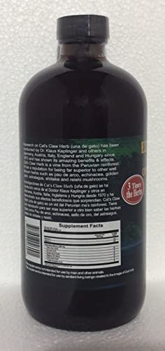 caffeine content in green tea
