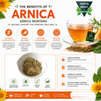 caffeine-free arnica montana tea