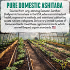 caffeine-free ashitaba tea