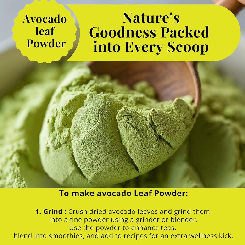 Caffeine-free avocado leaf beverage