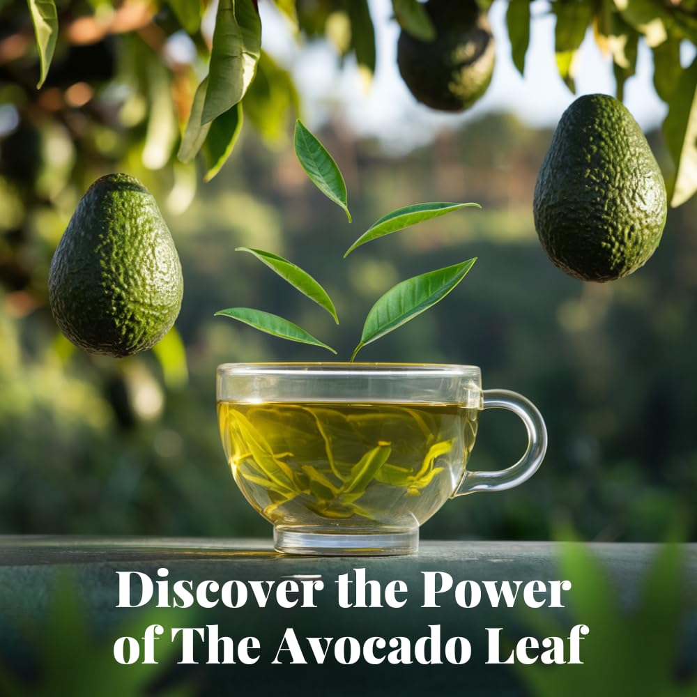 caffeine-free avocado leaf herbal tea