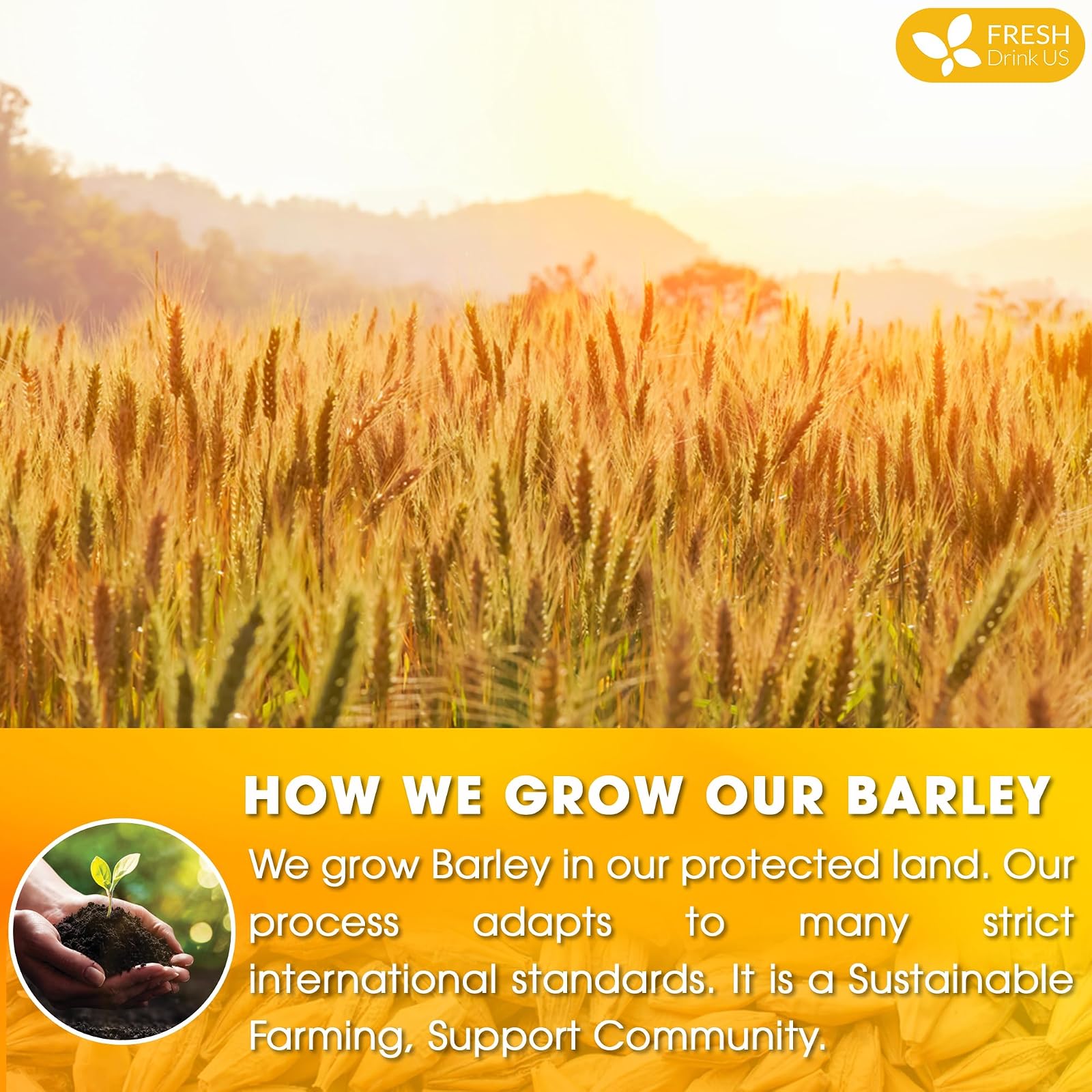caffeine-free barley tea blend